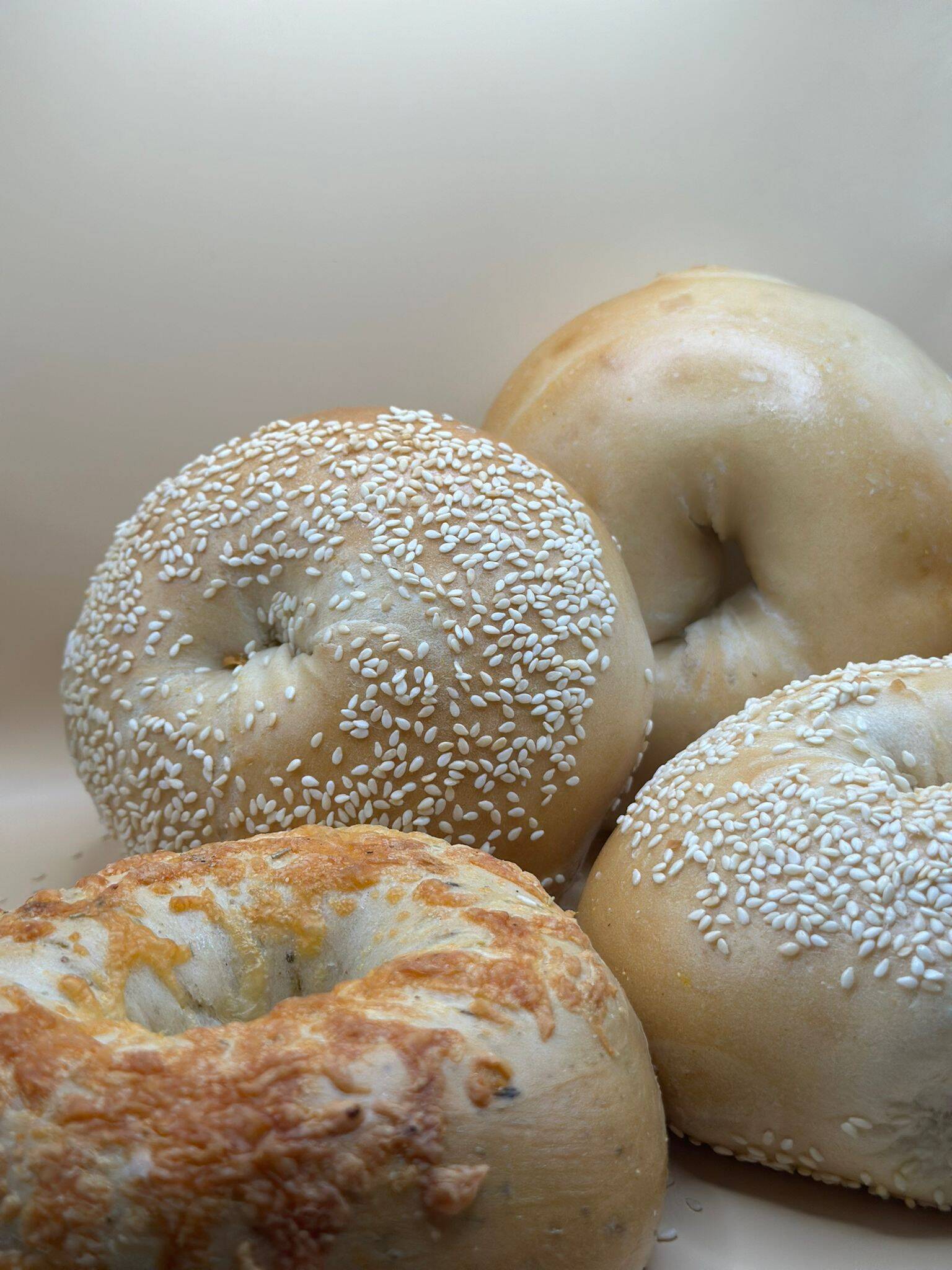 HOB | House Of Bagels.Corp